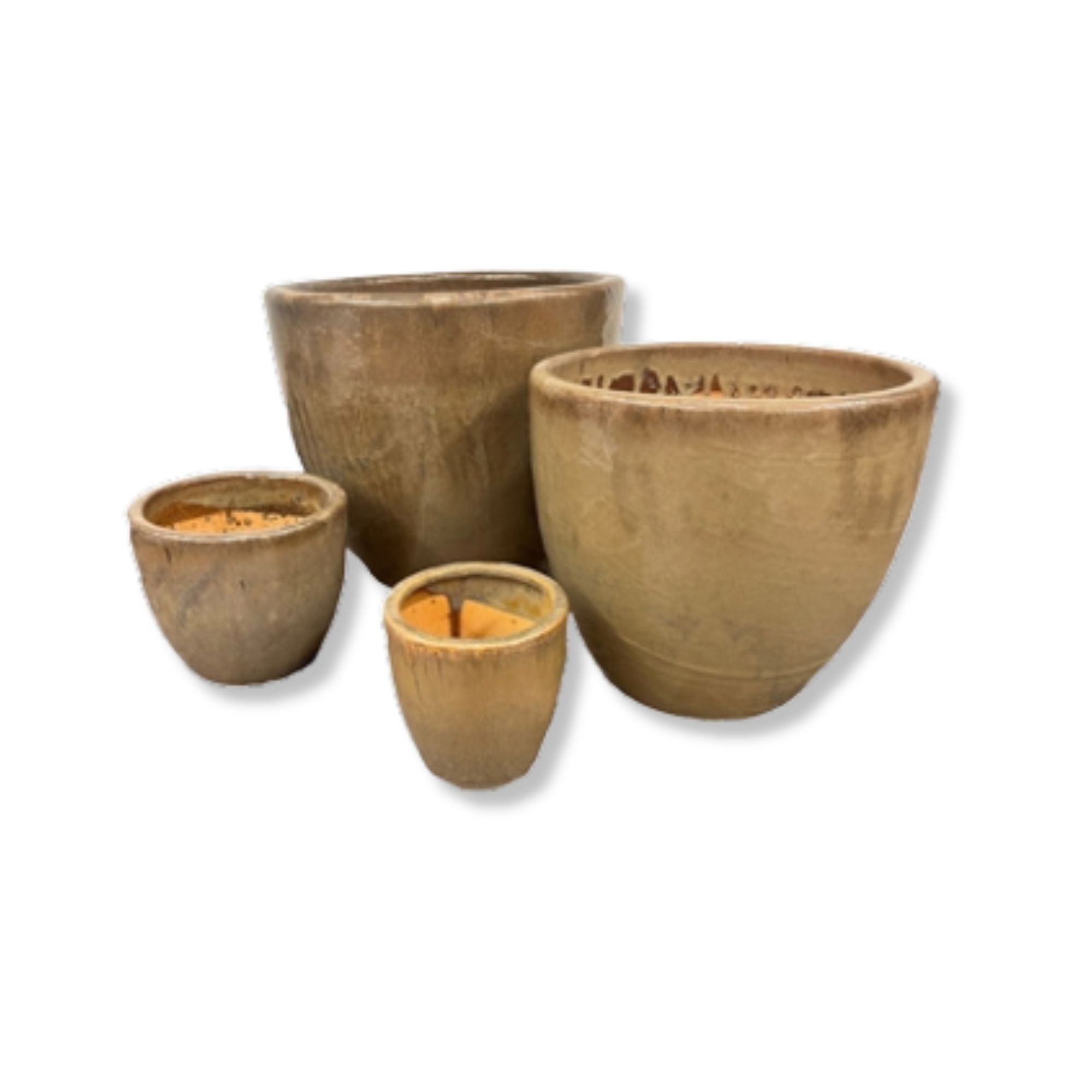 Morrigan Fusion Pot Running Creme | Indian Creek Nursery and Garden Center