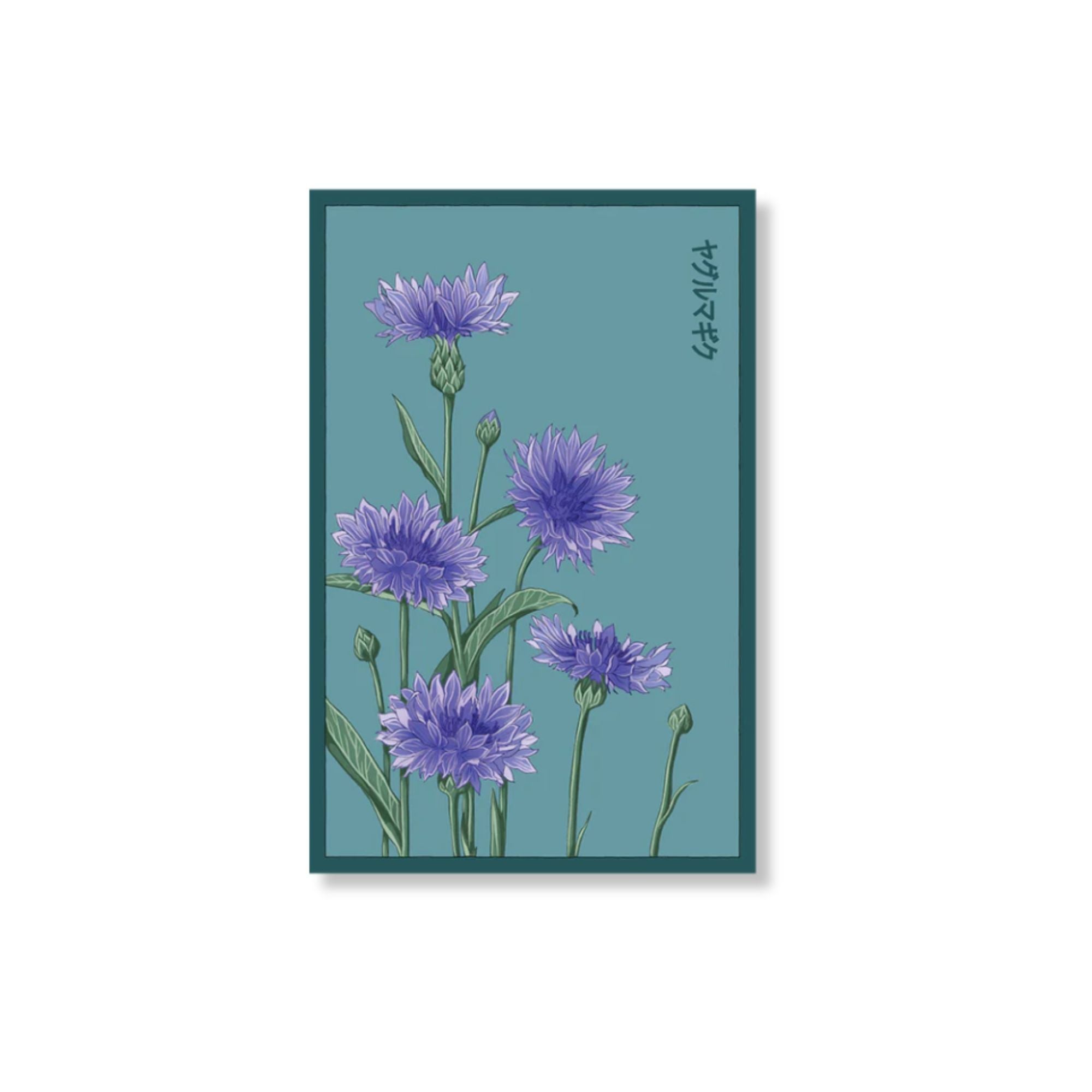 Blue Cornflower Seeds Packet (Shido Seed Co.) | Indian Creek Nursery ...