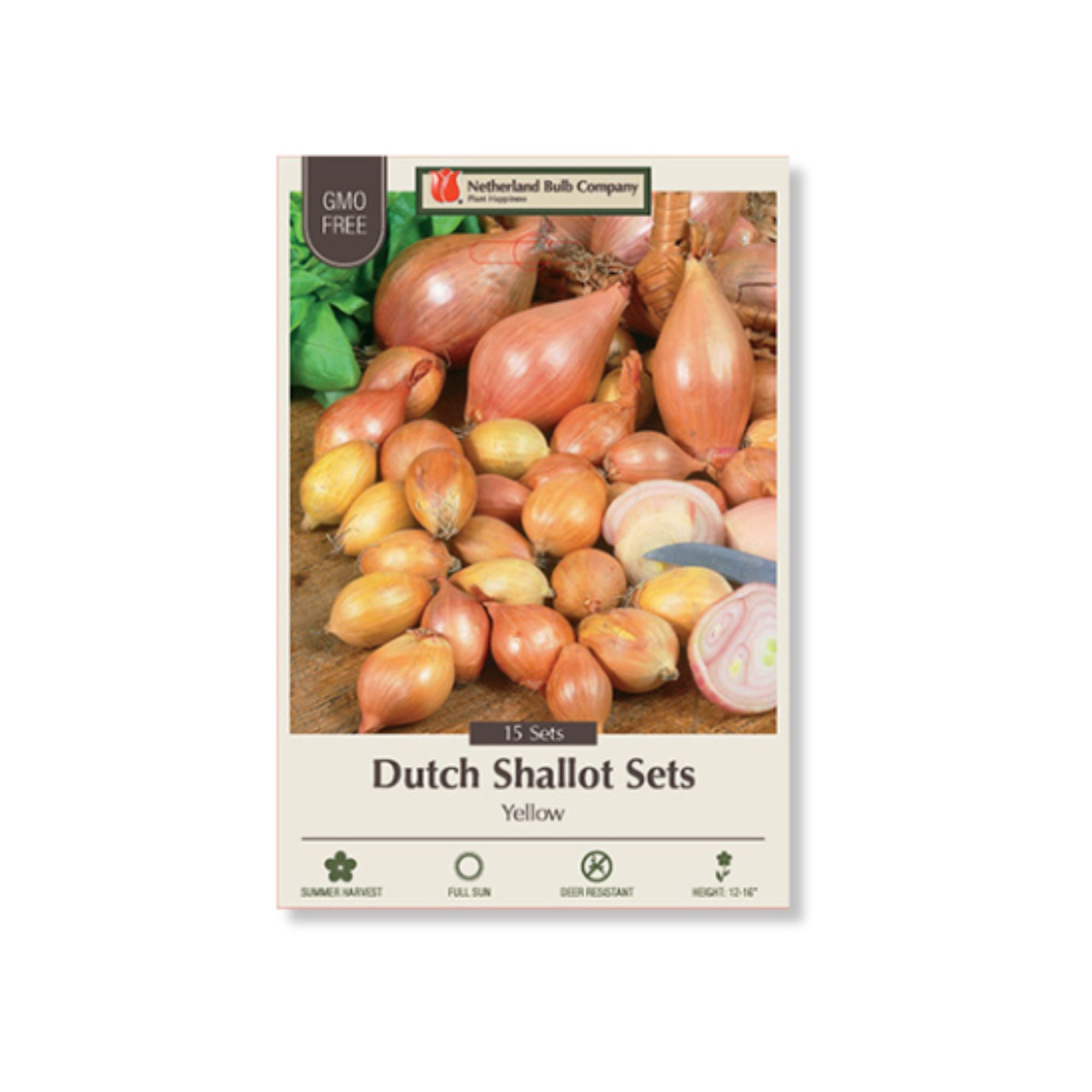 Dutch Shallot Set Yellow (15 Count) | Indian Creek Nursery and Garden ...