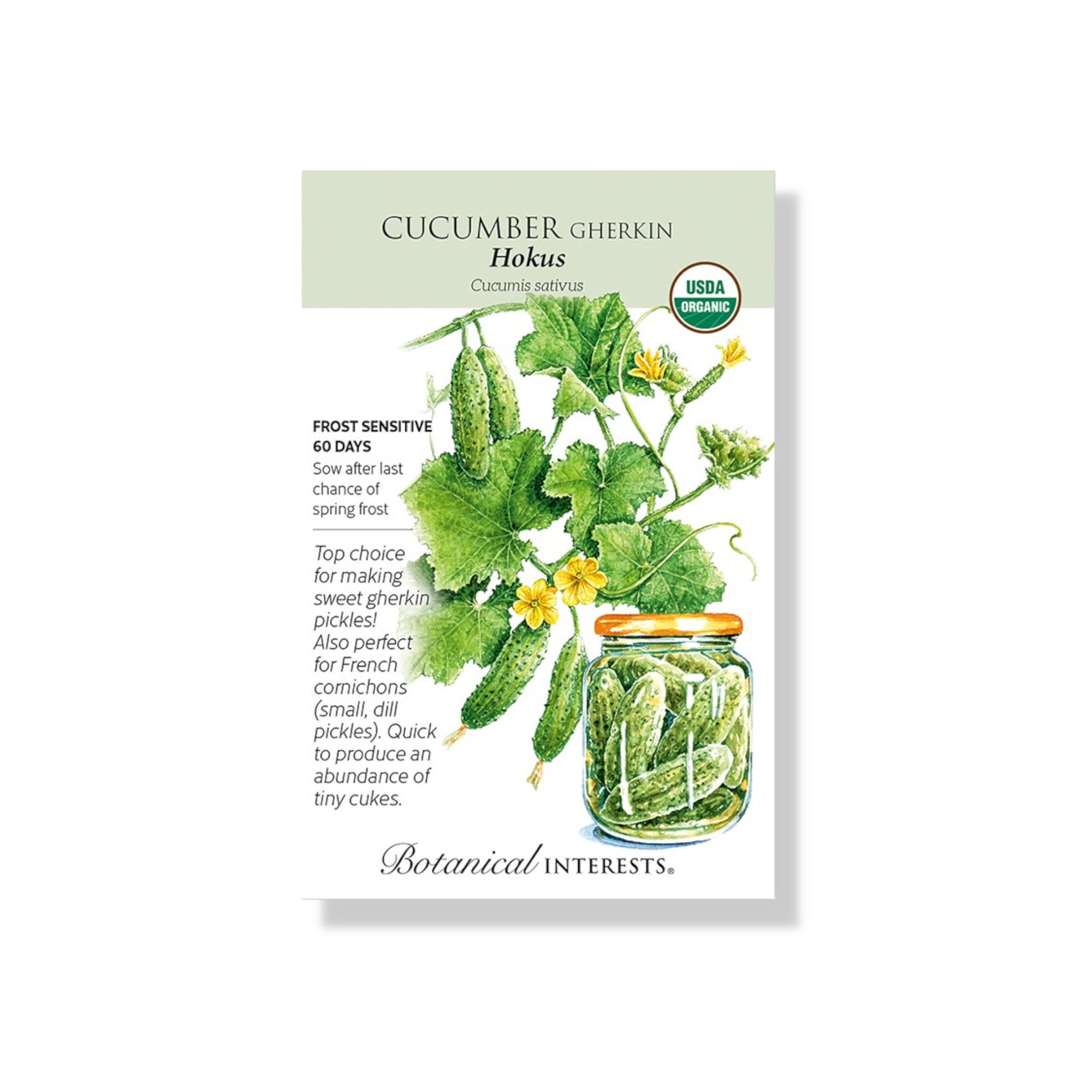 Cucumber Gherkin Hokus Organic 20 Seeds Botanical Interests 2025