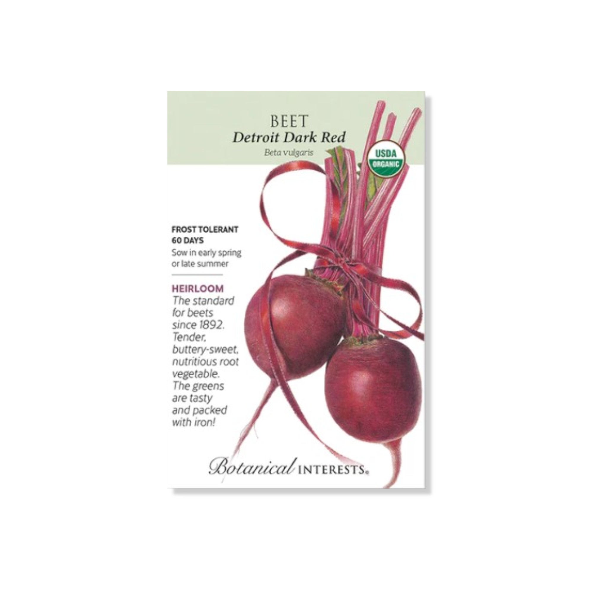 Beet Detroit Dark Red Organic Seeds 2.5g (Botanical Interests 2025 ...