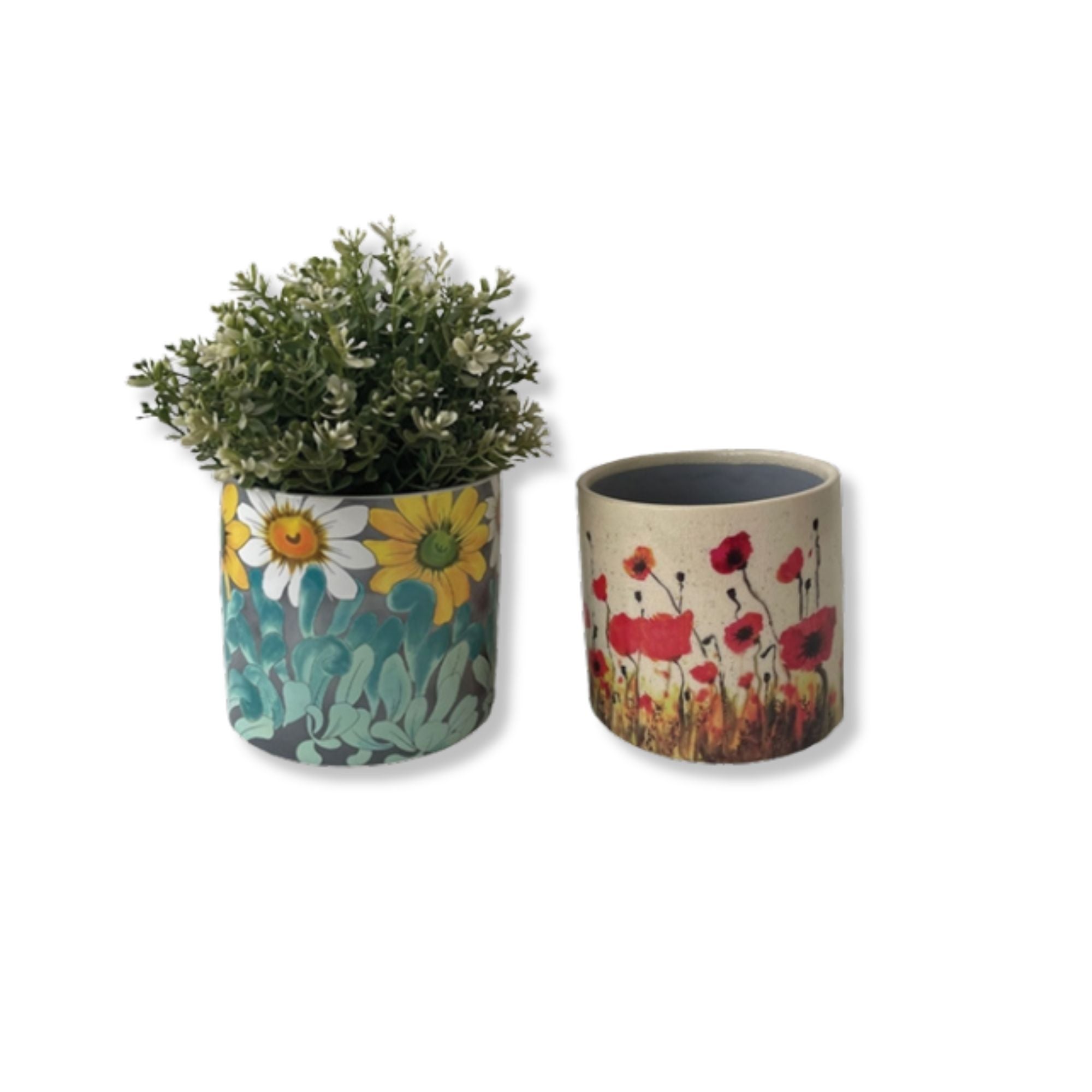 Esme 6.5" Planter Assorted Colors | Indian Creek Nursery and Garden Center