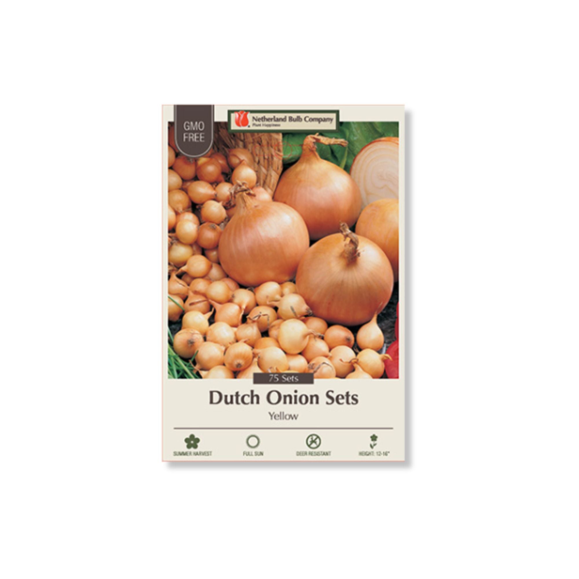 Dutch Onion Sets Yellow 75 Count | Indian Creek Nursery and Garden Center