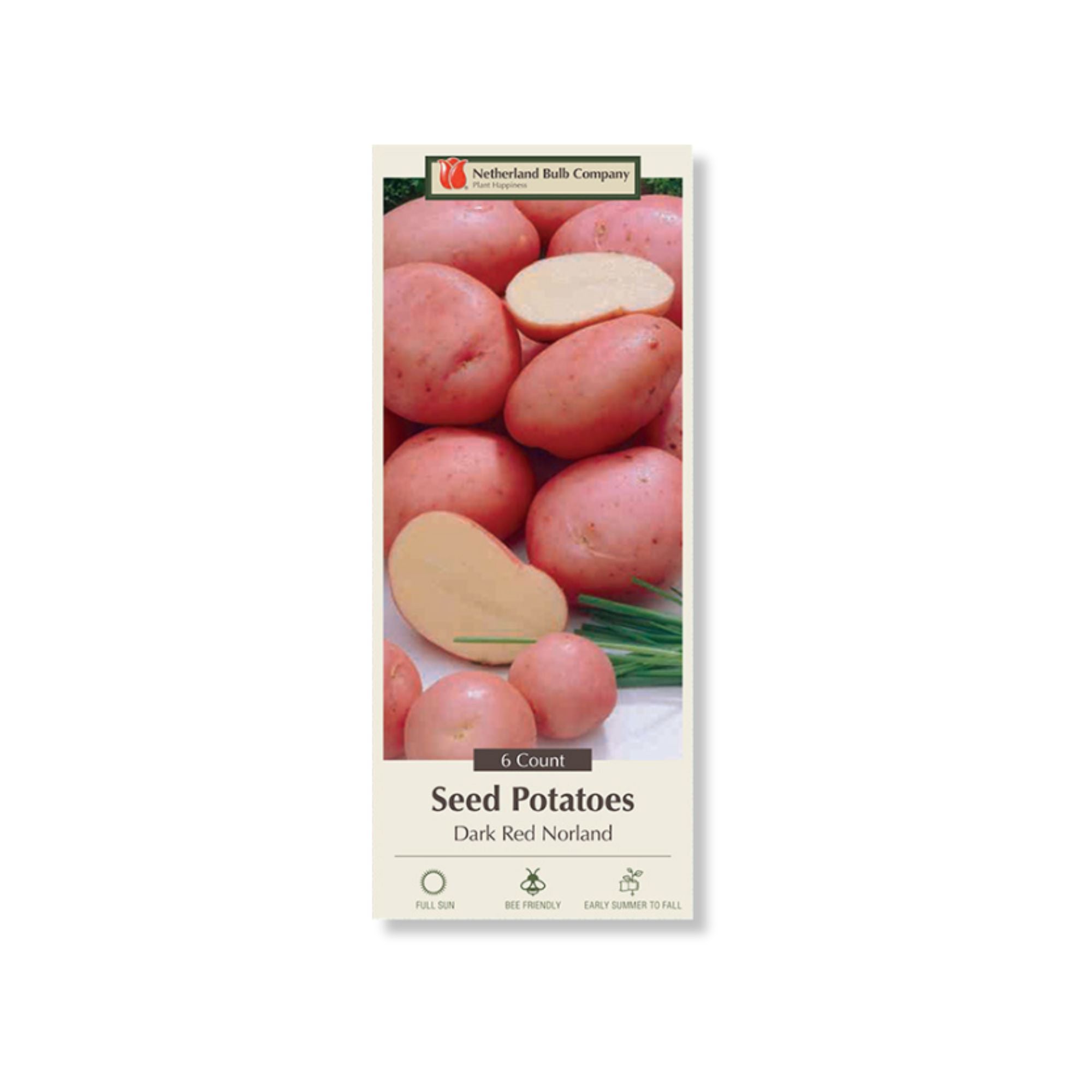 Seed Potatoes Dark Red Norland 6 Count | Indian Creek Nursery and ...