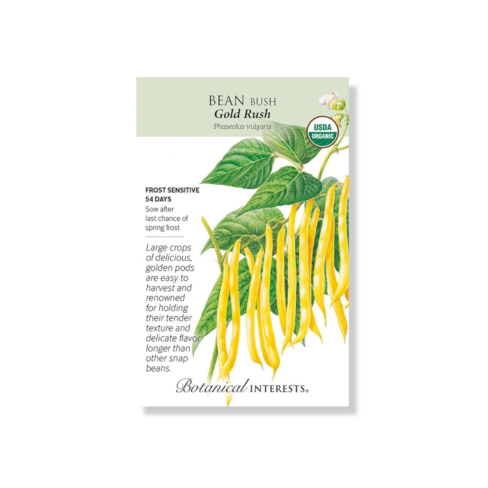 Bean Bush Gold Rush Organic Seeds 15g (Botanical Interests 2025 ...