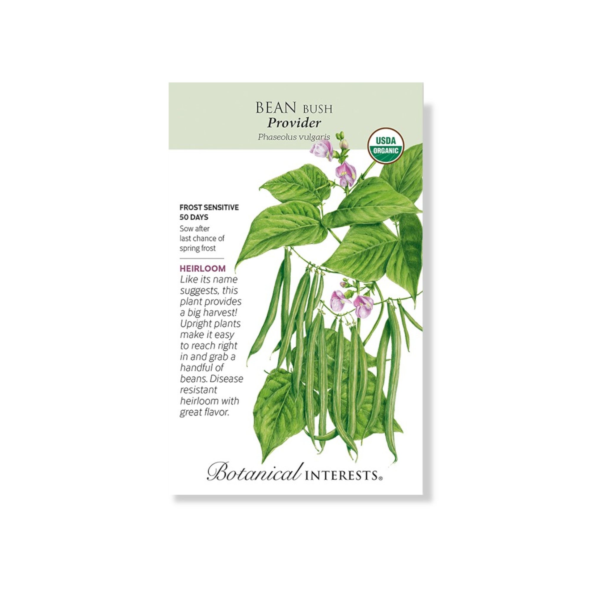 Bean Bush Provider Organic Seeds 50g (Botanical Interests 2025 ...