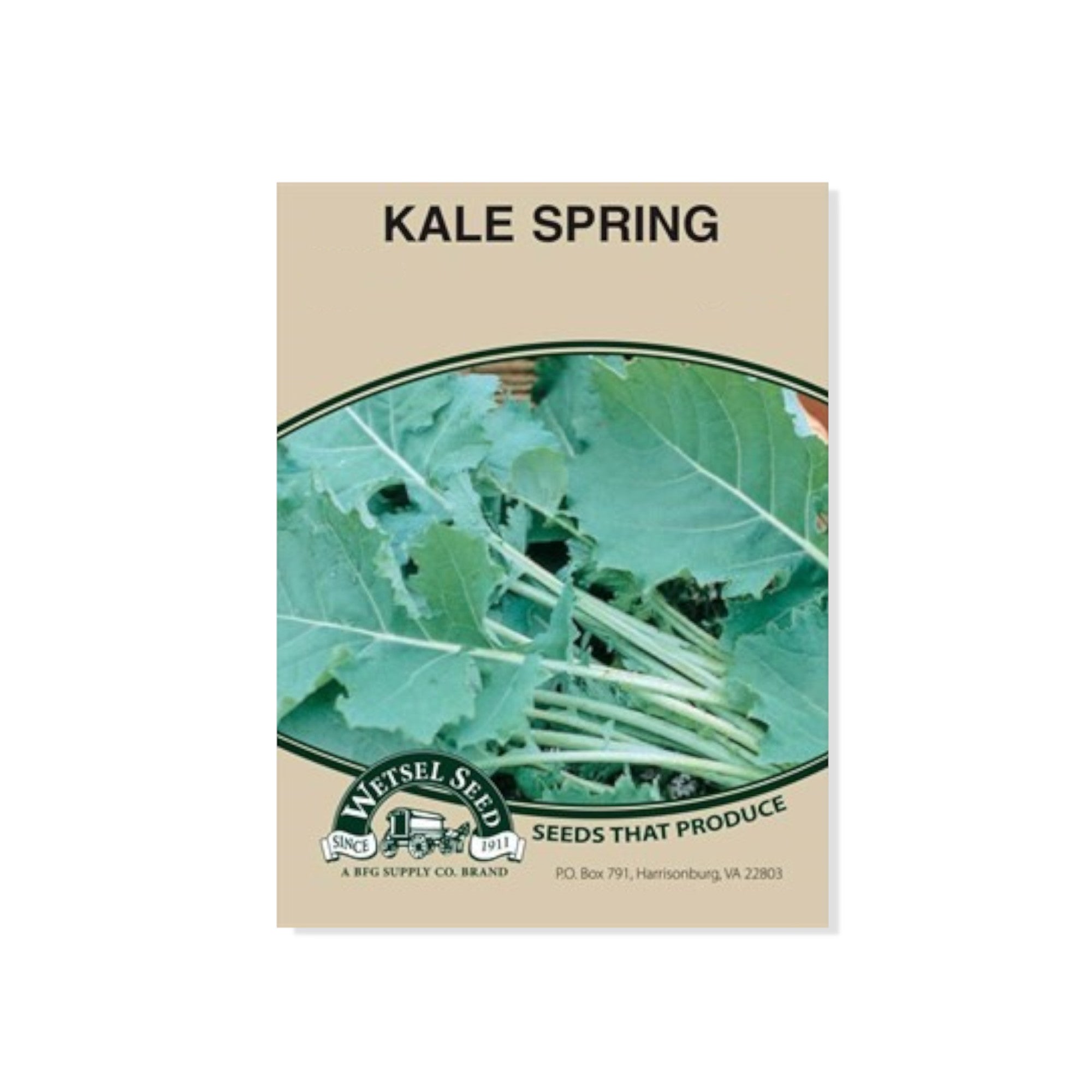 Kale Tall Spring Seeds (Wetsel) | Indian Creek Nursery and Garden Center