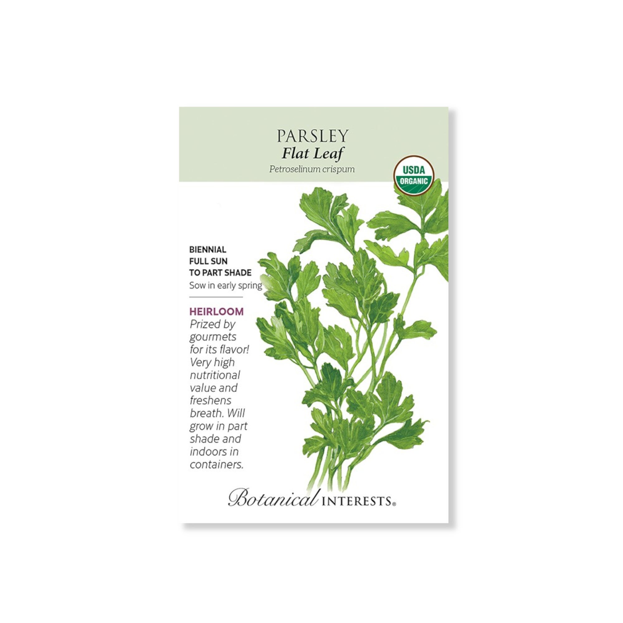 Parsley Flat Leaf Organic Seeds 1.5g (Botanical Interests 2025 ...