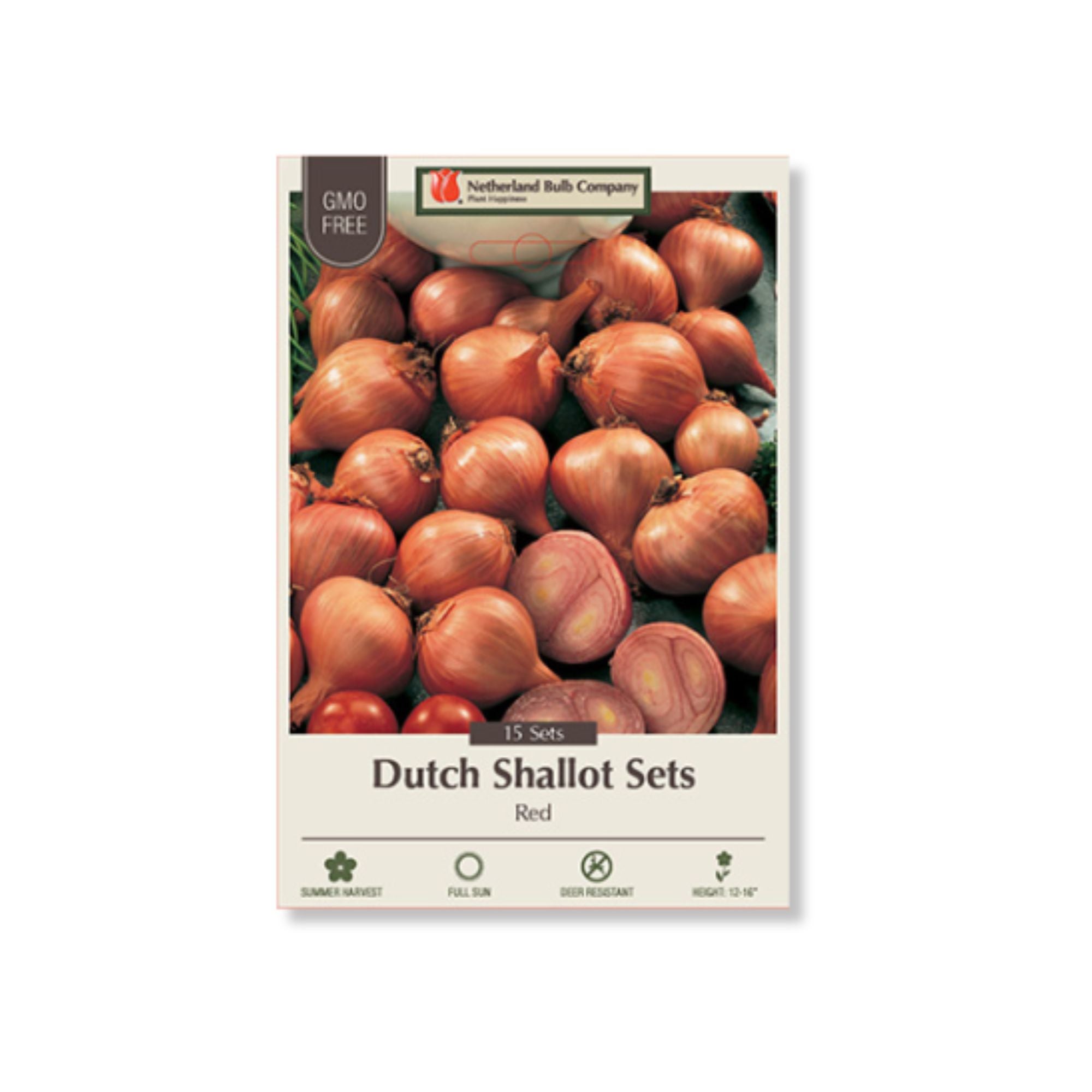 Dutch Shallot Set Red (15 Count) | Indian Creek Nursery and Garden Center