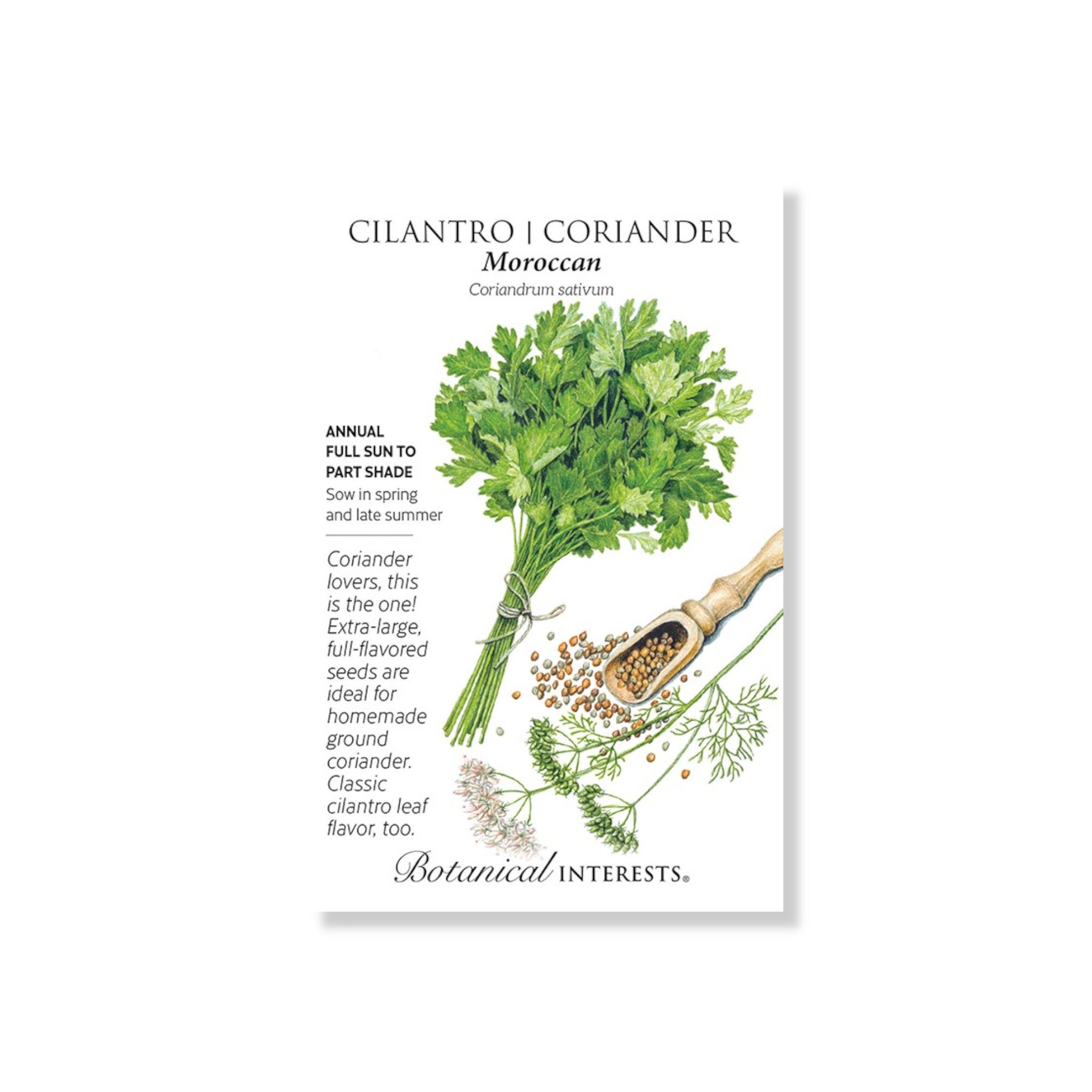 Cilantro Coriander Moroccan Seeds (Botanical Interests 2025) | Indian ...