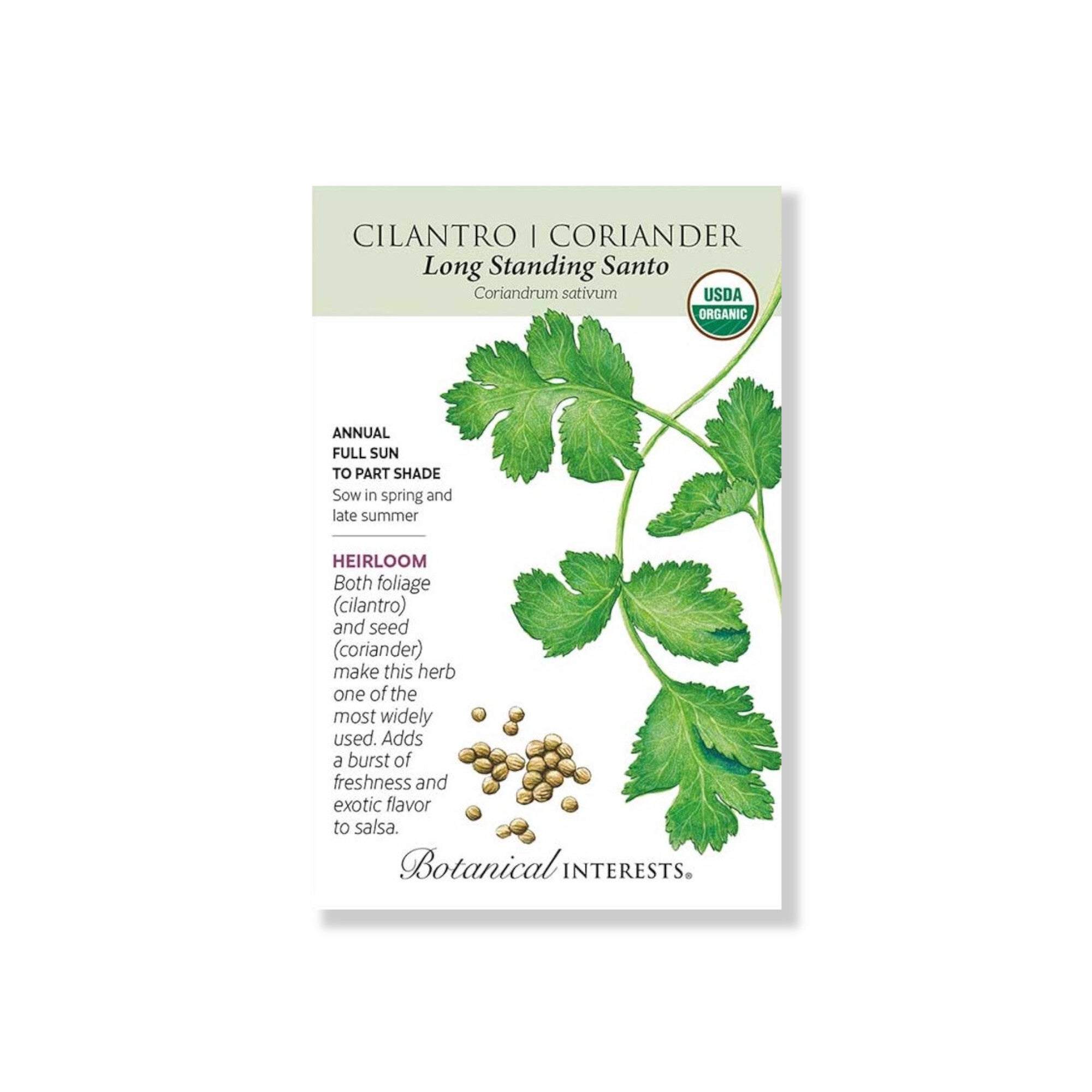 Cilantro Coriander Long Standing Santo Organic Seed 3g (Botanical ...