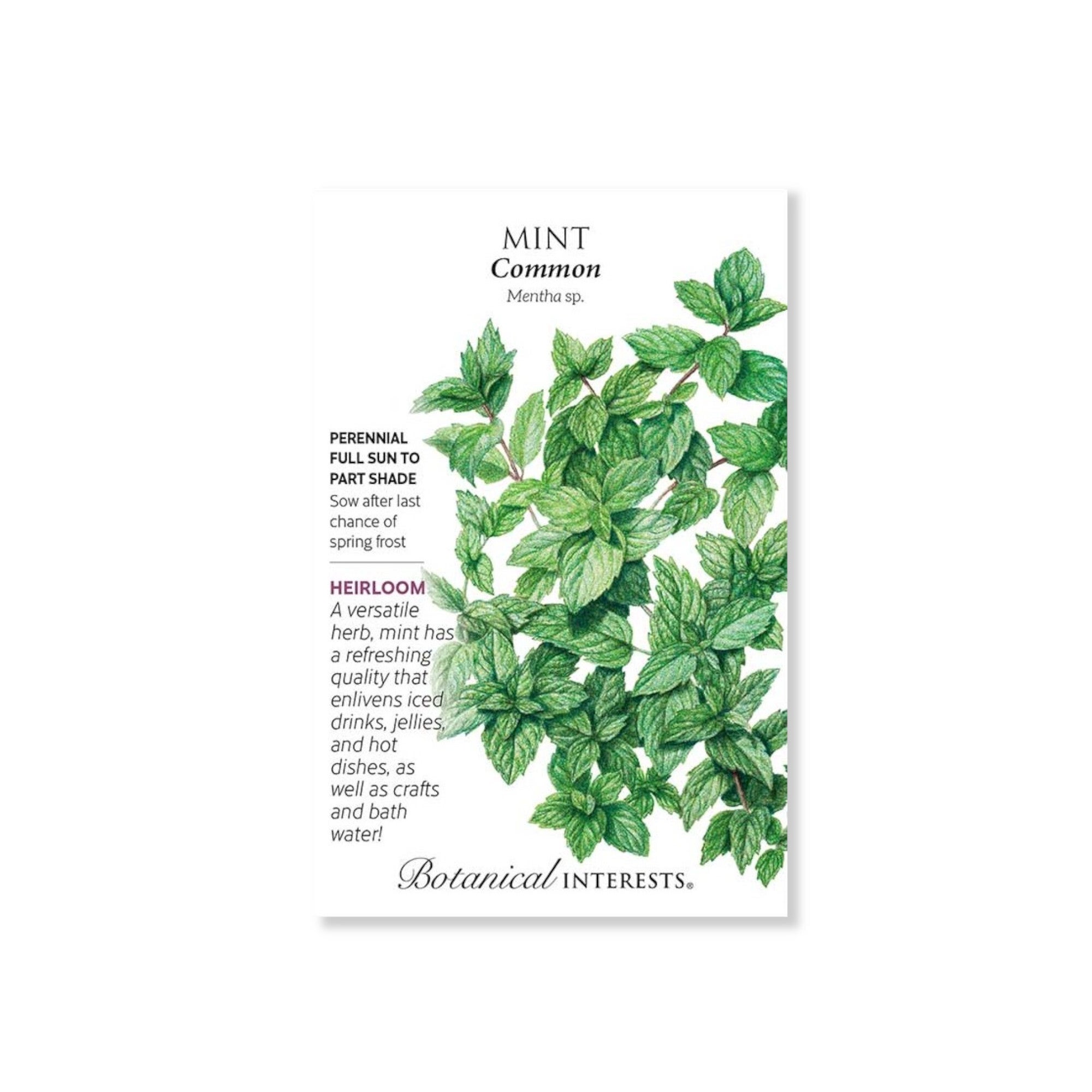 Mint Common Seed 25mg (Botanical Interests 2025) | Indian Creek Nursery ...