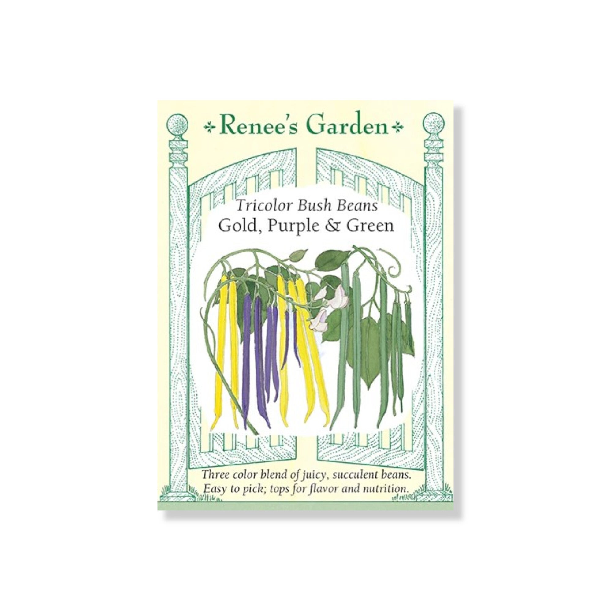Bean Pole Tricolor Green, Yellow, and Purple Seeds (Renee's Garden ...