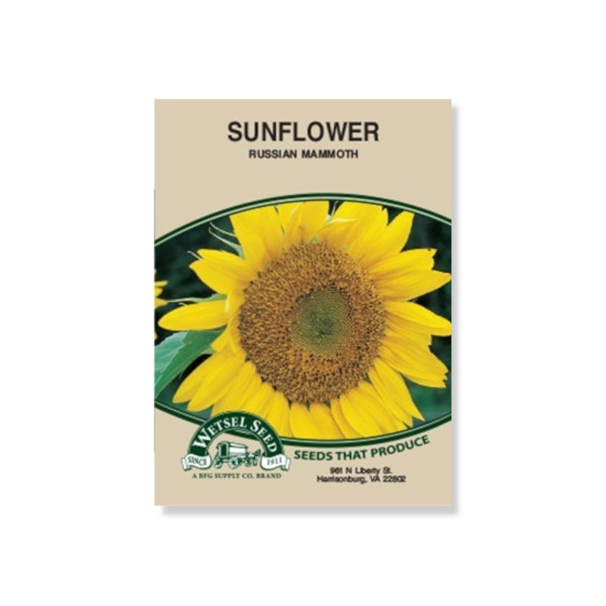 Sunflower Russian Mammoth Seeds (Wetsel) | Indian Creek Nursery and ...
