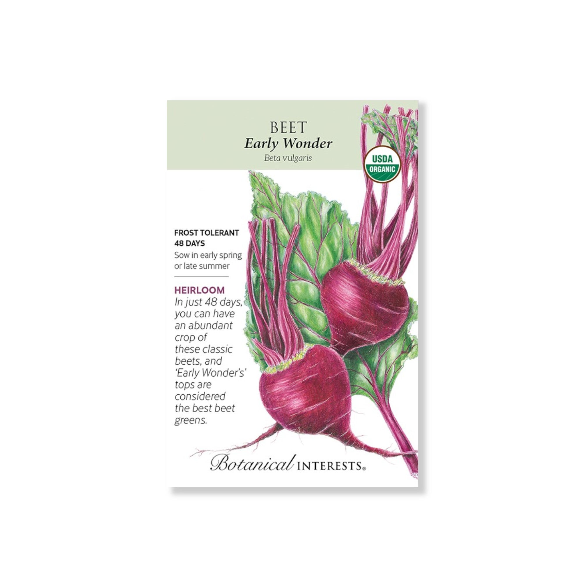 Beet Early Wonder Organic Seed 2g (Botanical Interests 2025) | Indian ...
