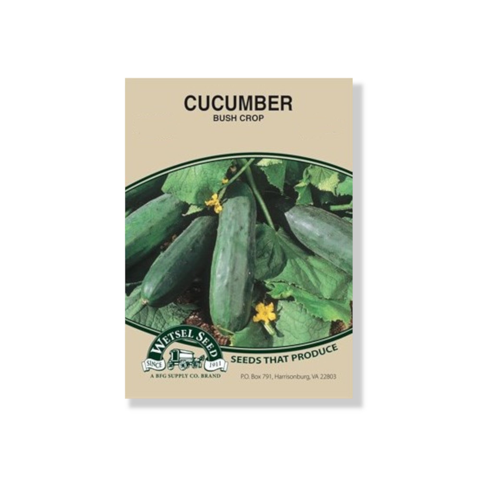 Cucumber Bush Crop Seeds (Wetsel) | Indian Creek Nursery and Garden Center