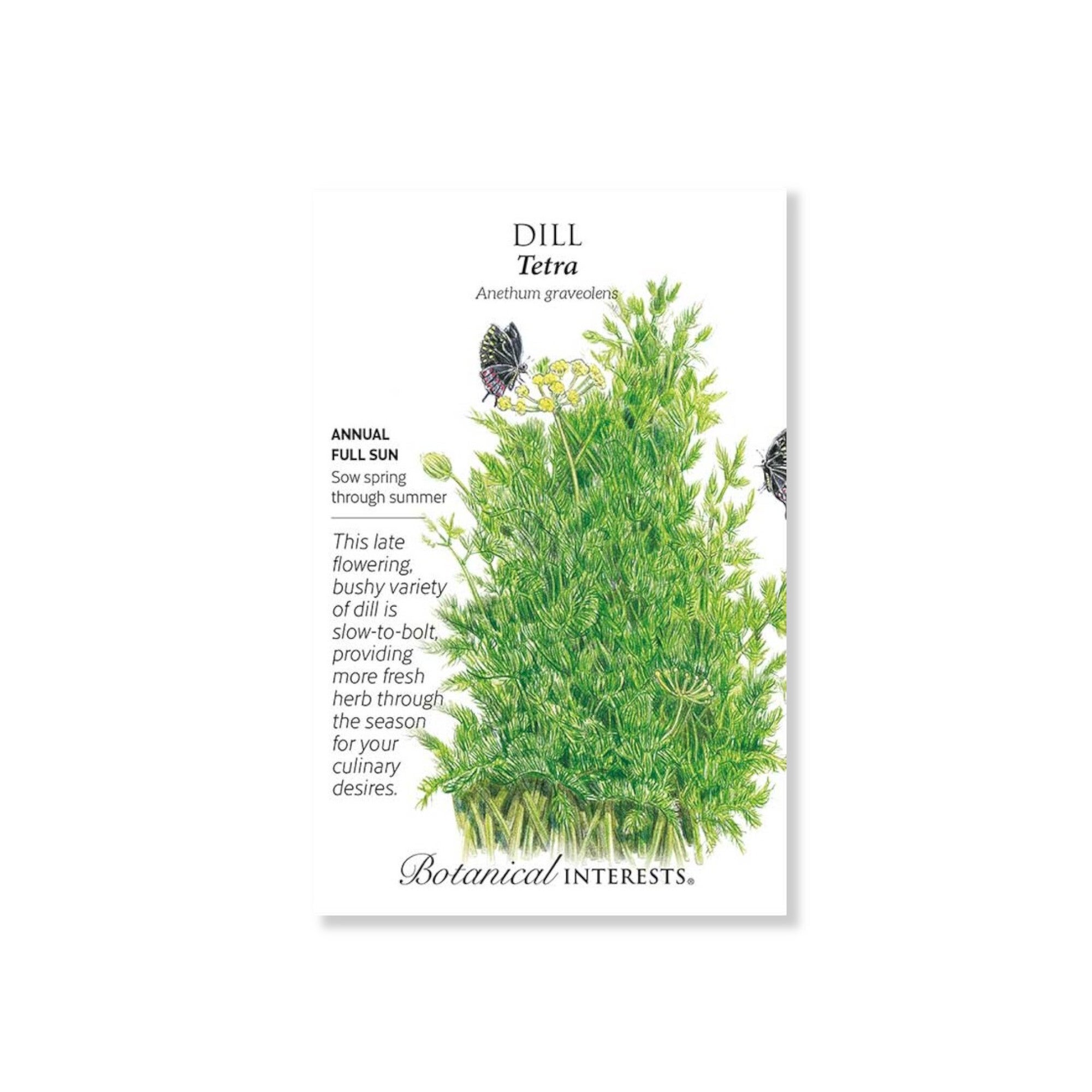 Dill Tetra Seeds (Botanical Interests) | Indian Creek Nursery and ...