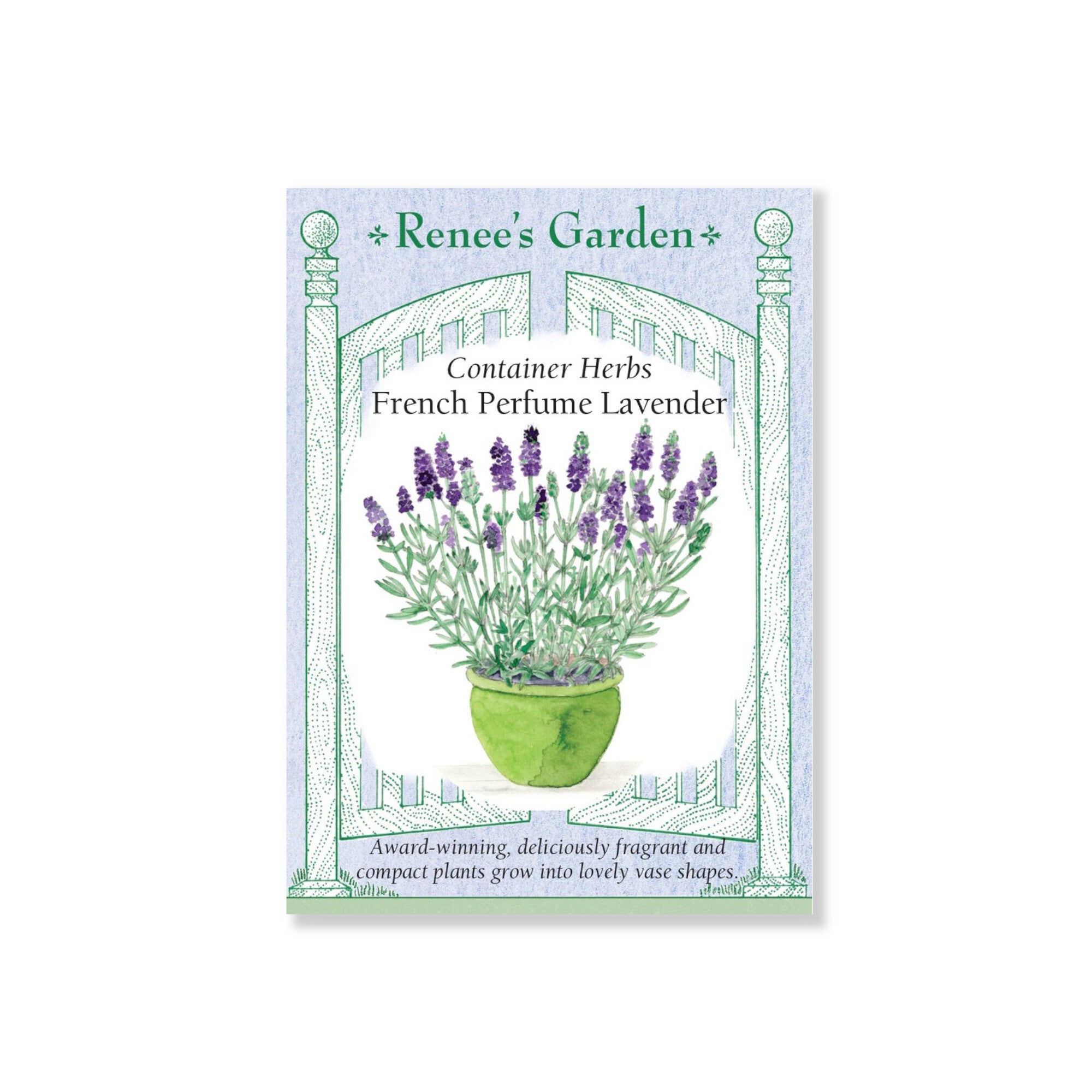 Lavender Container French Perfume Seeds (Renee's Garden) | Indian Creek ...